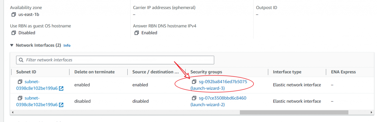 Making AWS EC2 Public IP Address Pingable – Insights into World Wide Web