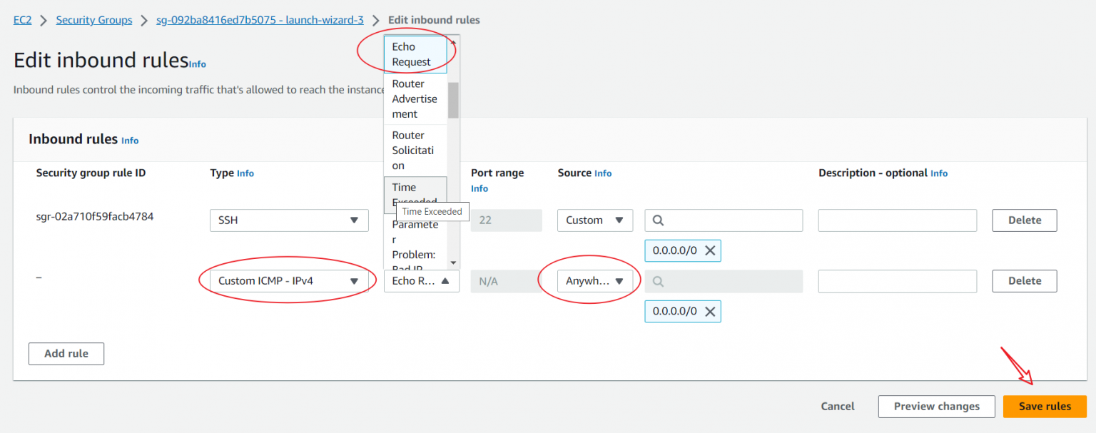 Making AWS EC2 Public IP Address Pingable – Insights into World Wide Web